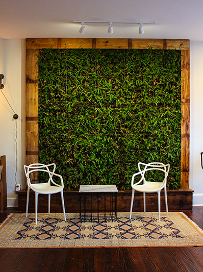 New in Haverford: Green Engine Coffee Company