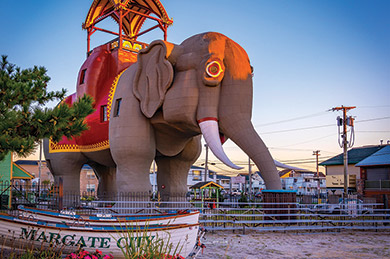 Q&A: ZAC Foundation’s Megan Ferraro