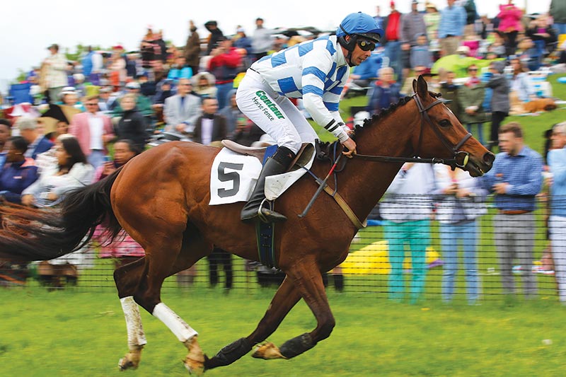 Point-to-Point 2019 Race Guide