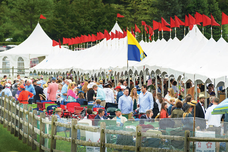 Go Behind the Scenes of Point-to-Point, Radnor Hunt Races and ...