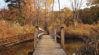 Fall Foliage Getaways a Short Drive From the Main Line Area