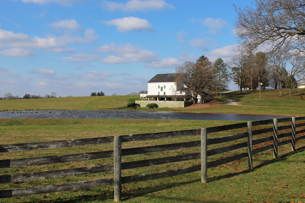 Crebilly Farm Endures Thanks to Voters and Activist Mindy Rhodes