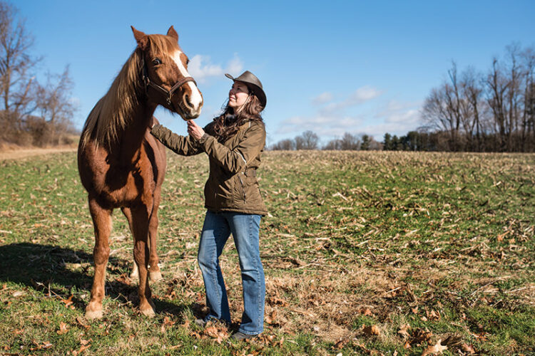 The Battle for Crebilly Farm