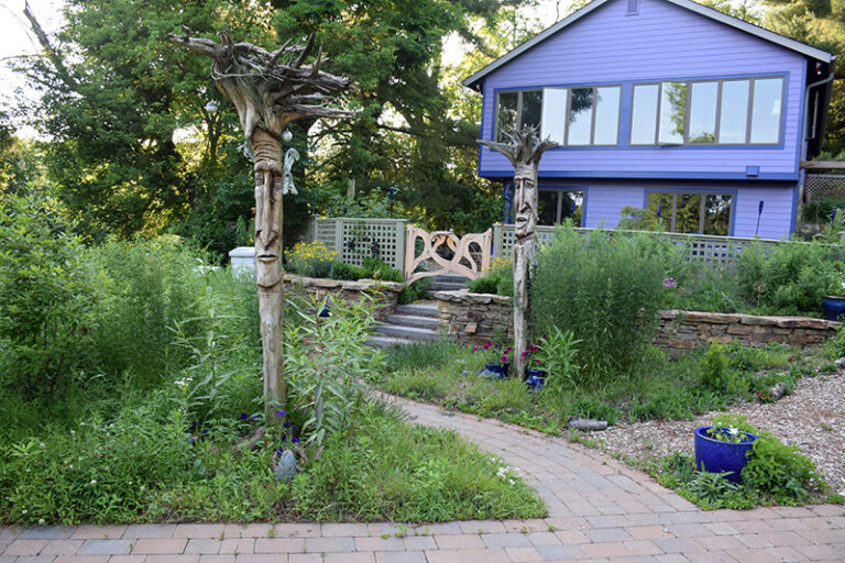 Margot Taylor’s Dancing Tree Estate Is a National Model for Sustainability