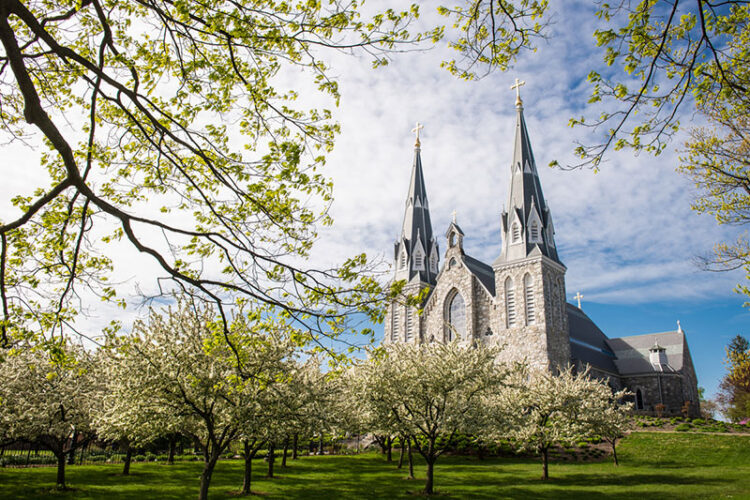 8 Things to do in Villanova