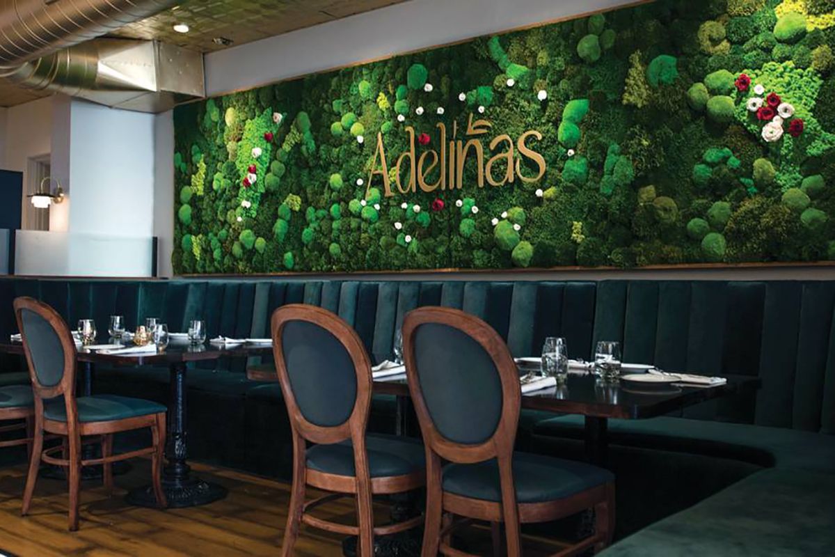 Adelina's Restaurant & Bar Opens in Chestnut Hill