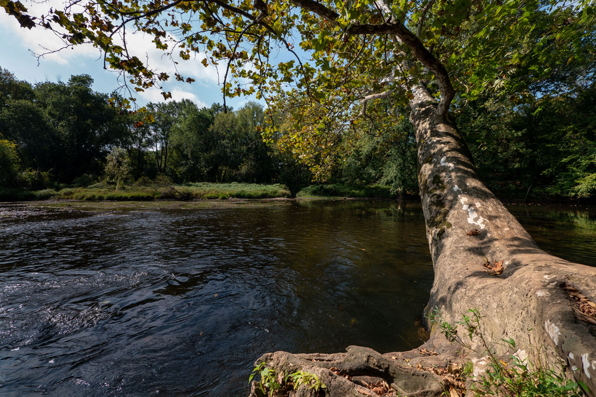 Joe Grace Fights for Affordable Housing in Chadds Ford