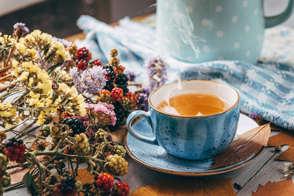 6 Teahouses Around the Main Line and Philadelphia Suburbs