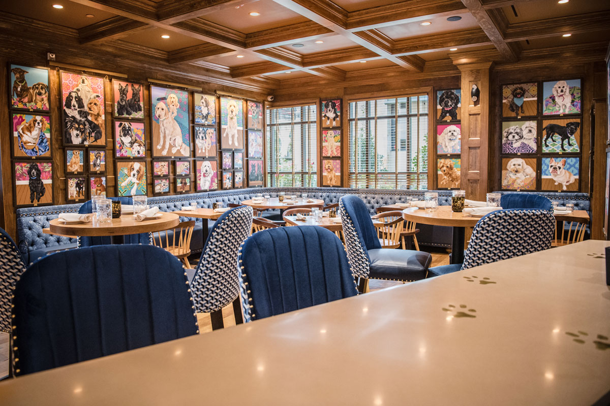 White Dog Cafe: The Main Line Favorite Celebrates 40 Years