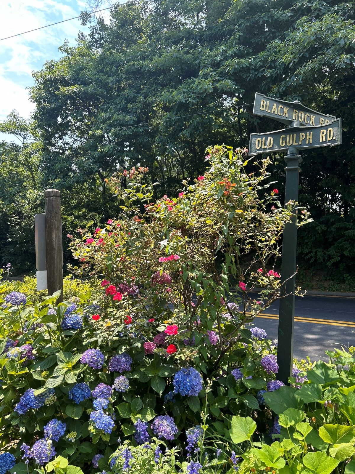 Warren Lewis Beautifies the Main Line One Intersection at a Time