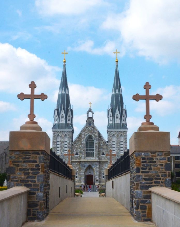 What Does Cabrini University's Future Look Like?