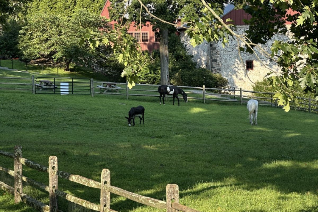 The Inn at Grace Winery Is an Easy, Breezy Staycation Destination