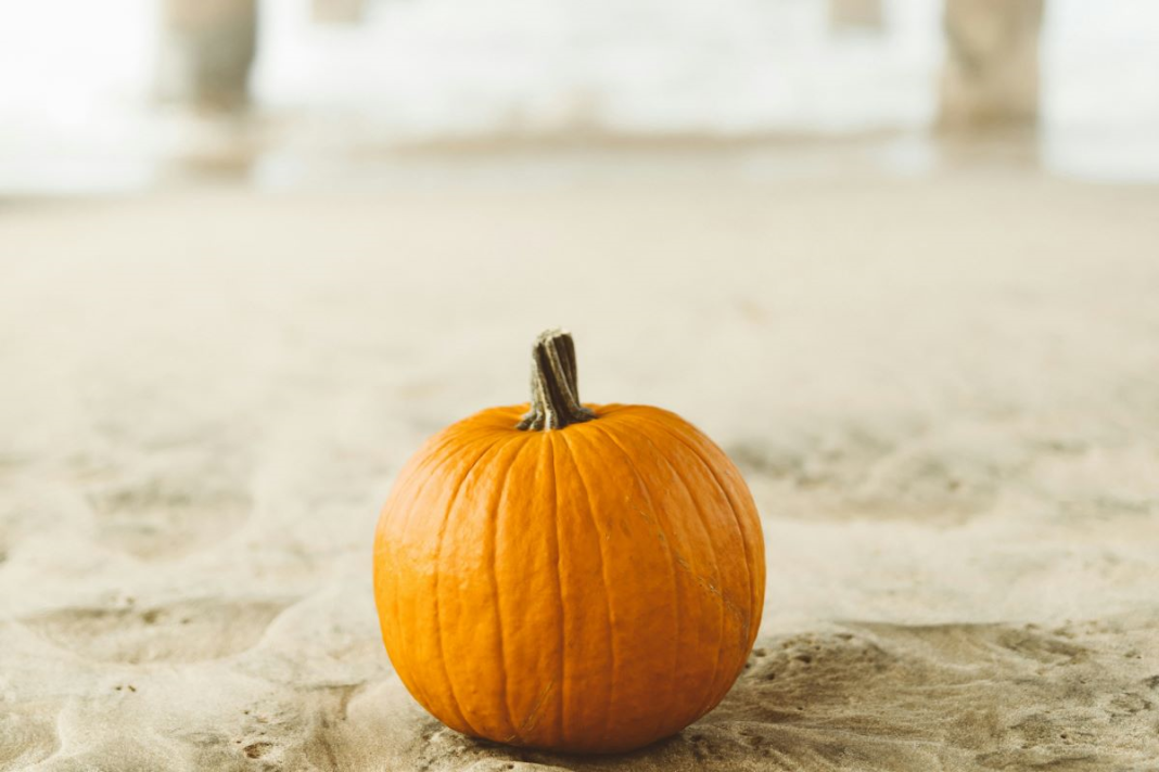 The Hottest Fall Festivals and Happenings at the Jersey Shore