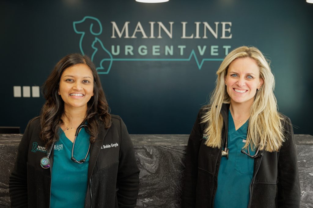 A Female-Owned Urgent Vet Opens in Ardmore