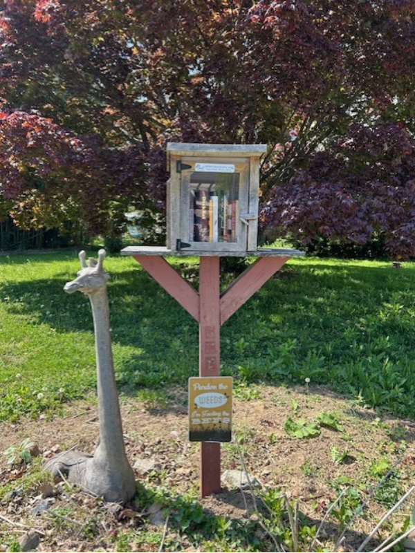 Little Free Libraries Support the Main Line Area Community