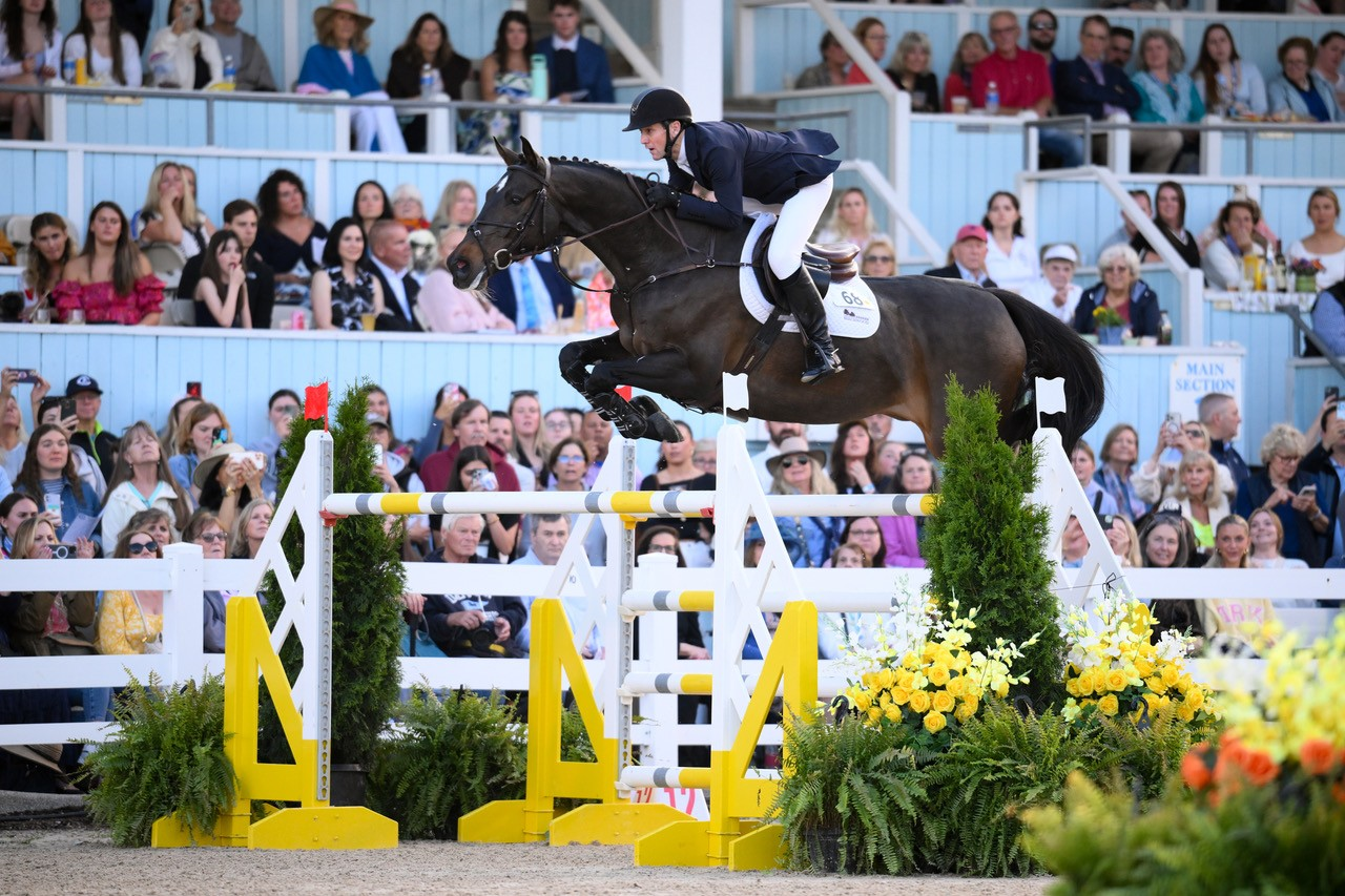 Your Guide to the 2026 Devon Horse Show